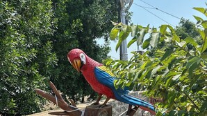 Uma estátua de papagaio vermelho e azul empoleirada num toco de árvore.