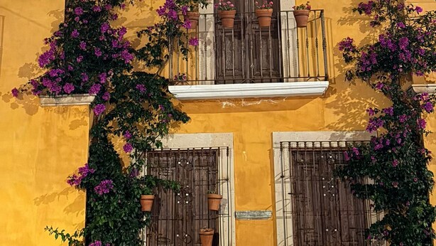 Um edifício com paredes amarelas, uma varanda com plantas em vasos e uma janela com porta de madeira.