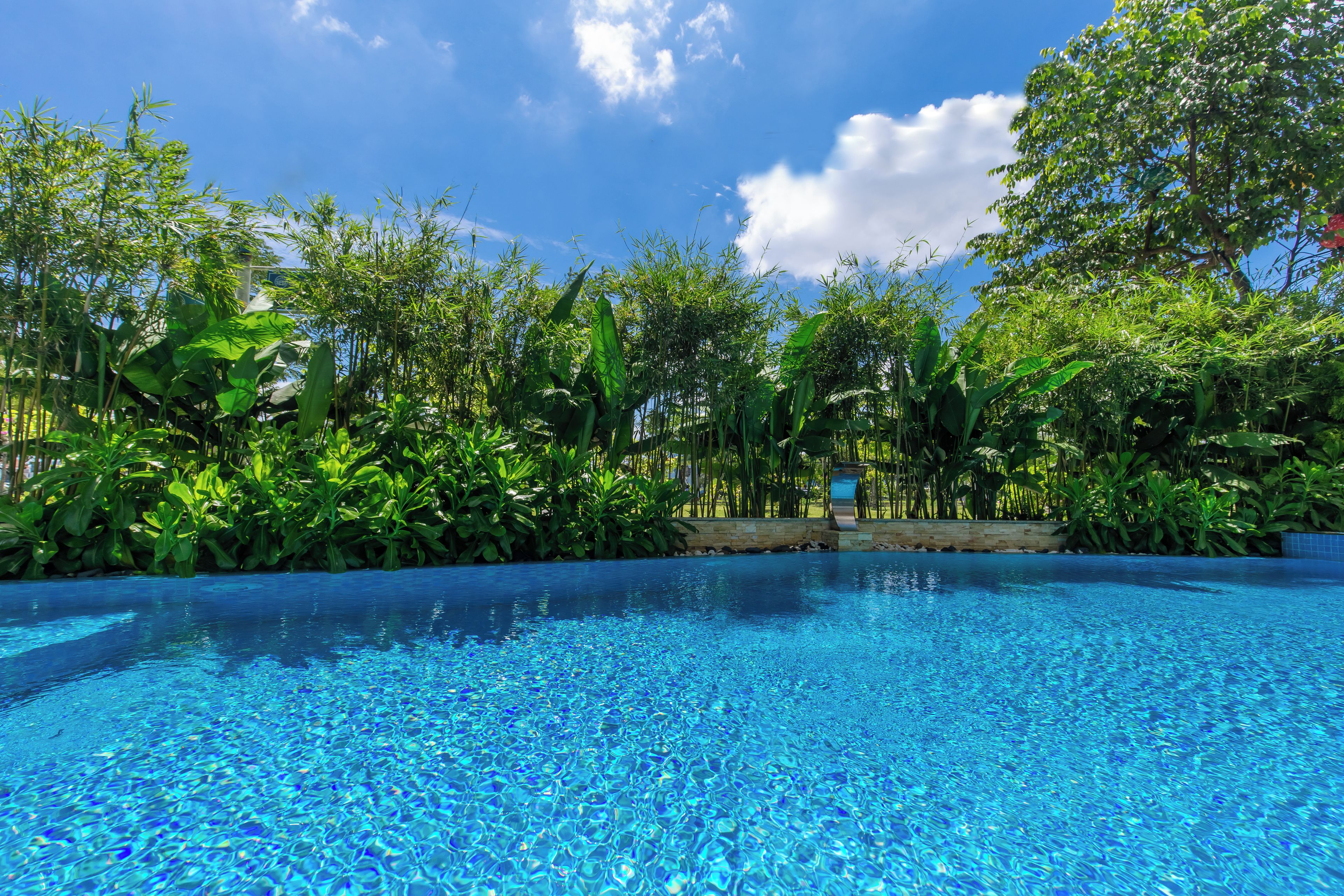Piscina azul e límpida rodeada por vegetação exuberante e uma parede de pedra.