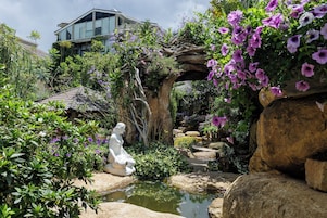 Vista para o jardim