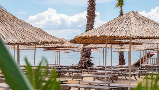 Uma praia com guarda-sóis de palha, palmeiras e mesas para piquenique.