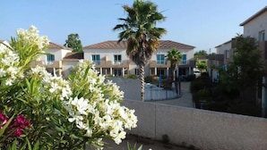 Zona residencial com casas modernas, uma palmeira e um arbusto de flores.