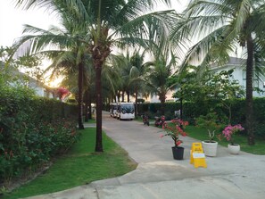 Um caminho bordeado por palmeiras e plantas em vasos, que leva a um ônibus branco estacionado na lateral.