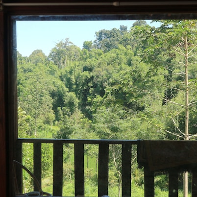 Lembah Tetebatu