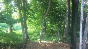 Uma área externa coberta com churrasqueira, rodeada por árvores e um ambiente arborizado.
