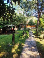 Uma trilha de pedra serpenteia por um jardim com árvores e uma estrutura de madeira.