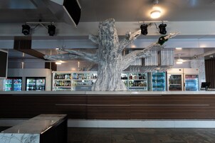 Bar (no alojamento)