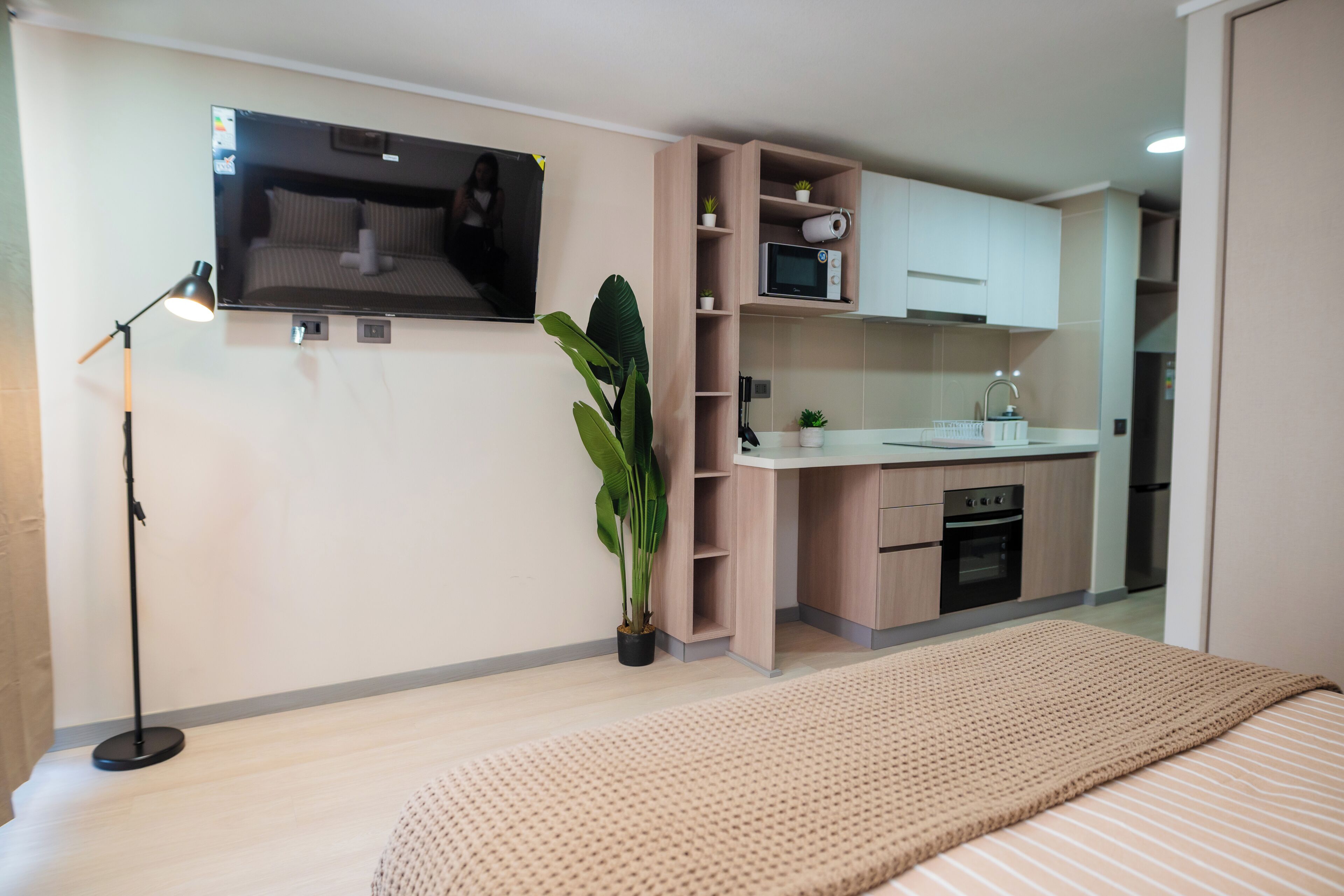 Quarto moderno com cama, escrivaninha, televisão presa na parede, área de cozinha e um vaso de plantas.