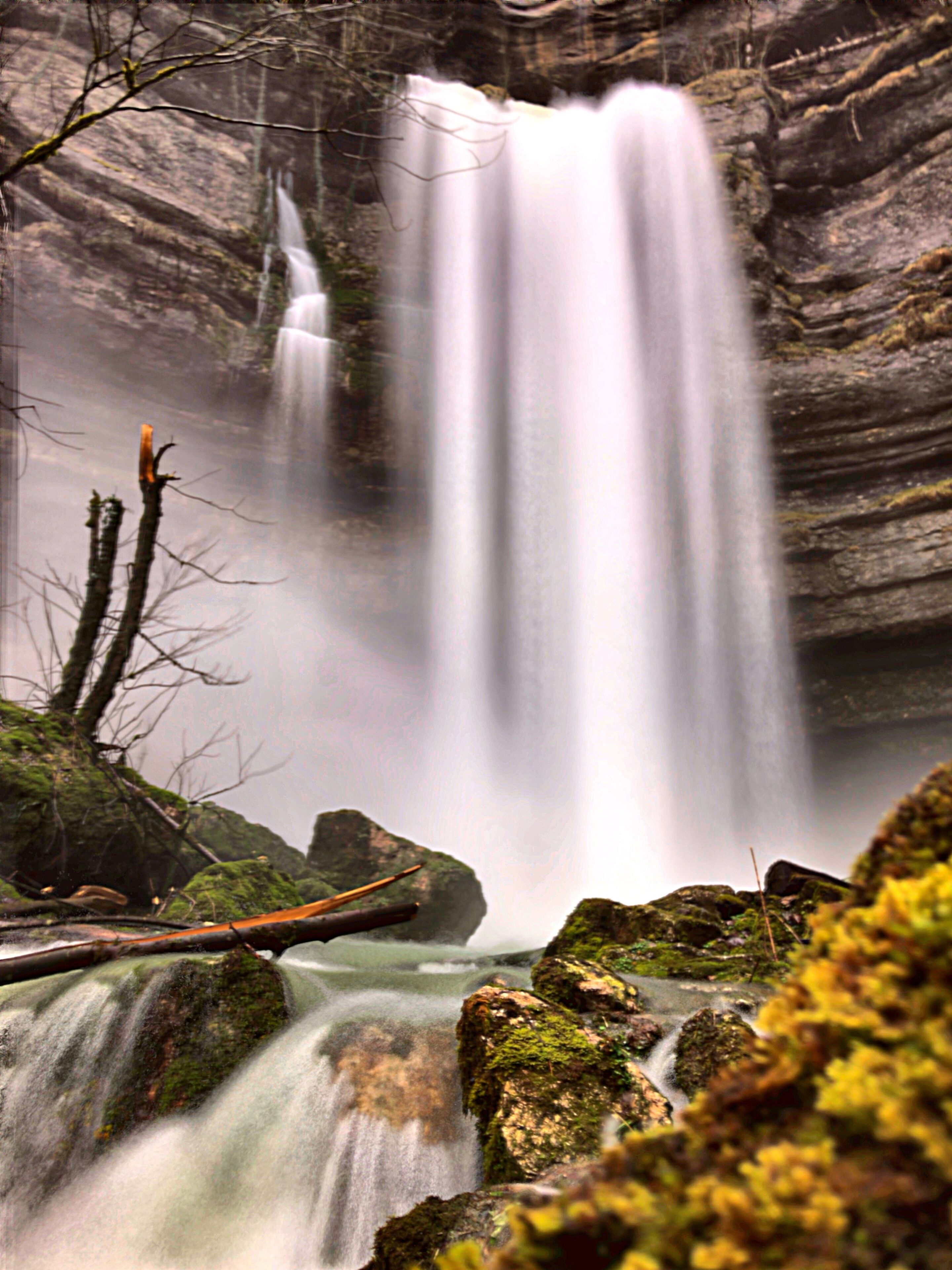 Uma cascata despencando sobre rochas com superfícies cobertas de musgo e galhos de árvores secos.
