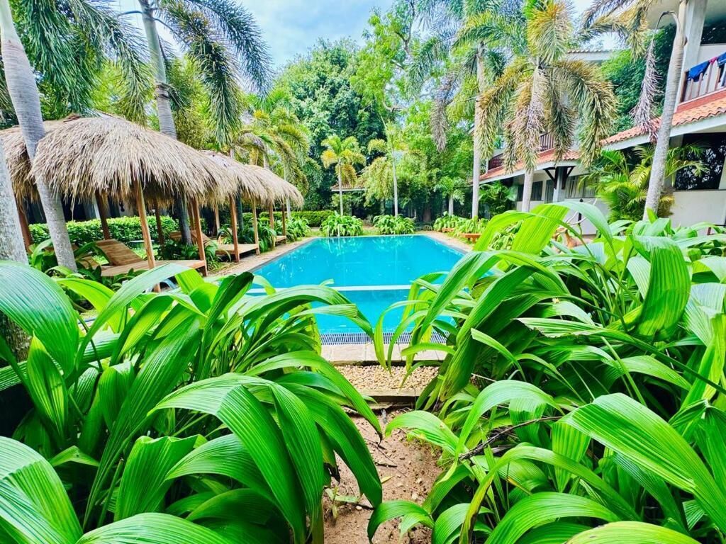 Quarto Duplo Deluxe, varanda, vista para a piscina | Piscina | Piscina exterior 