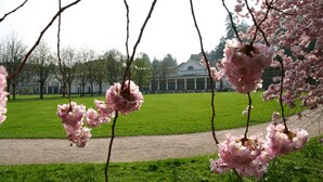 Um parque com cerejeiras em flor e um edifício com colunas ao fundo.