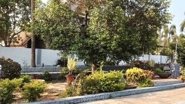 Um jardim ajardinado com diversas plantas e um caminho.