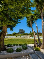 Um jardim bem cuidado com piscina, palmeiras e um céu azul límpido.