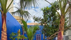 Um pátio com parede azul, palmeiras e um caminho de azulejos.