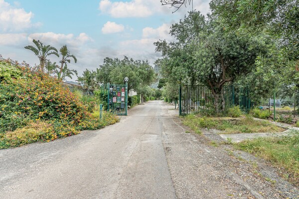 The Hidden Olive Gem By Wonderful Italy - Terrasini