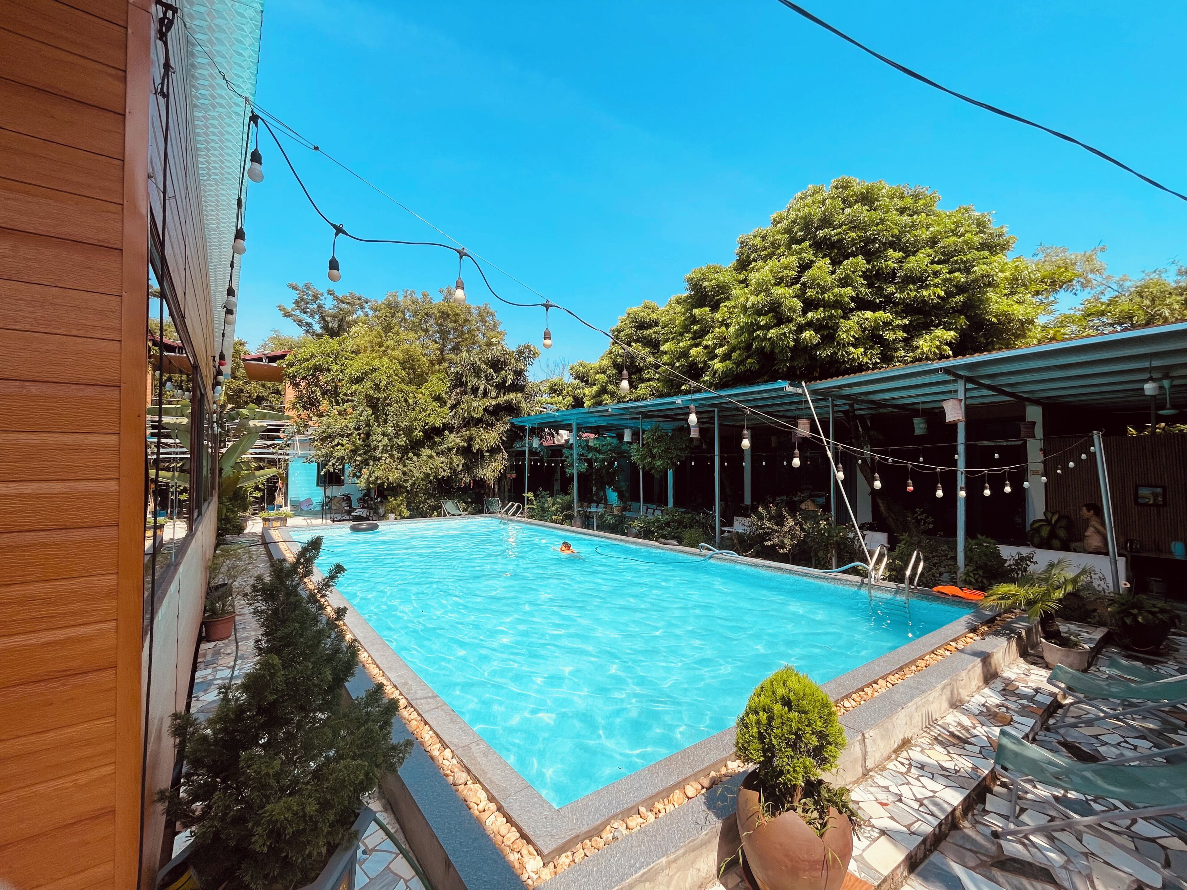 Uma piscina com borda azulejada, cercada por plantas em vasos e mobiliário de exterior.