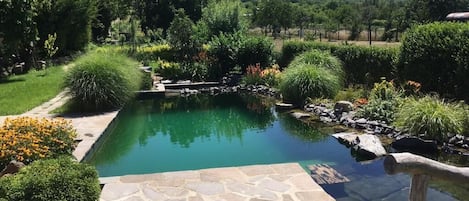Área de piscina com ladrilhos de pedra, vegetação ao redor e montanhas ao fundo.