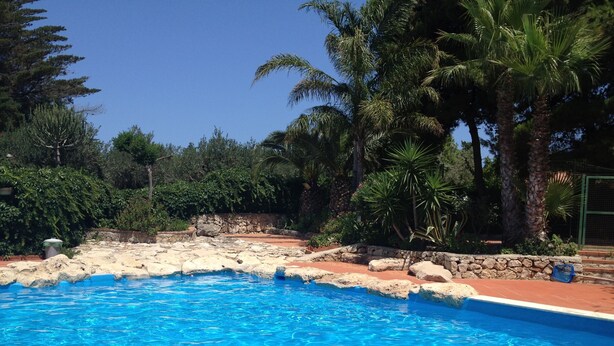 Piscina rodeada por pedras e palmeiras.
