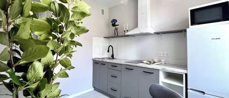 Apartamento standard, 1 quarto | Cozinha privada | Chaleira elétrica, produtos de limpeza, toalhas de papel
