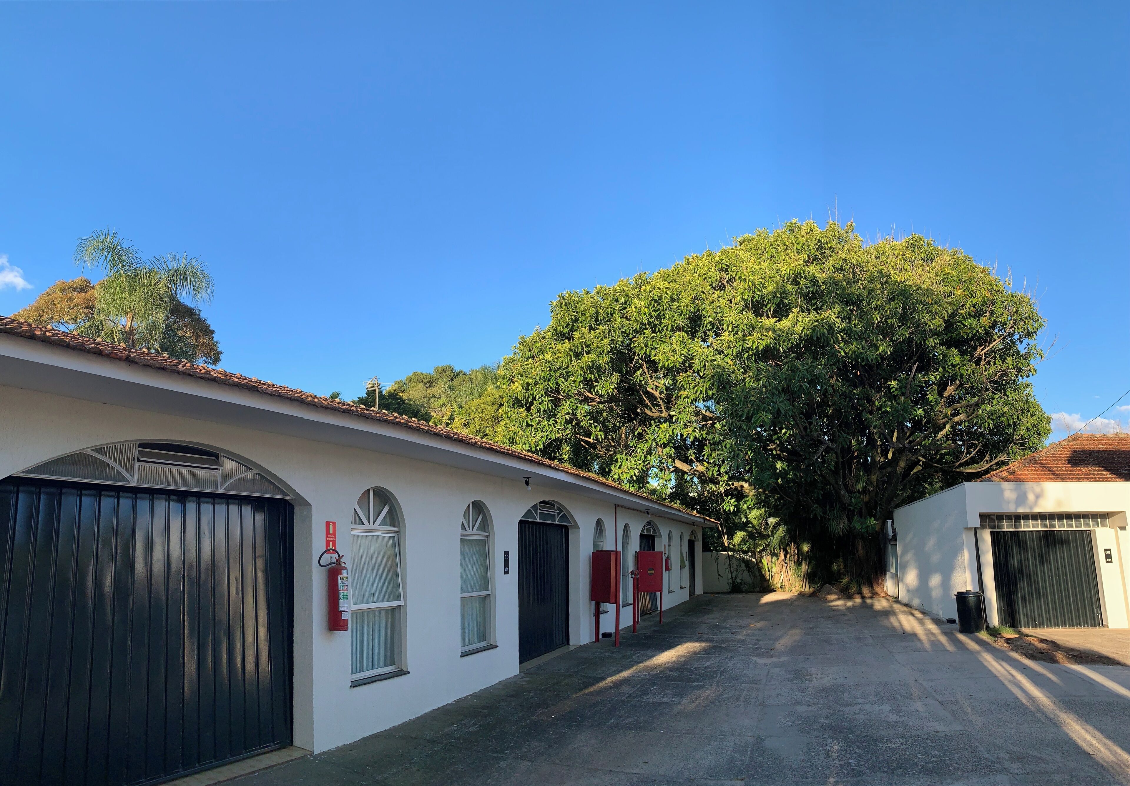 Um edifício com uma fileira de janelas em arco e uma grande árvore em frente.