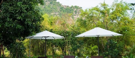 Piscina exterior, guarda-sóis, espreguiçadeiras