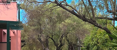Gramado bem cuidado com um caminho de pedra que leva a um edifício com telhado verde.