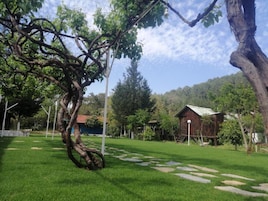 Área da propriedade