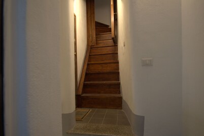 Faho-bald01p2 in Alghero