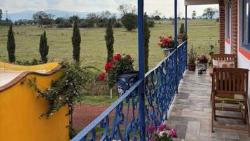 Terraço/pátio interior