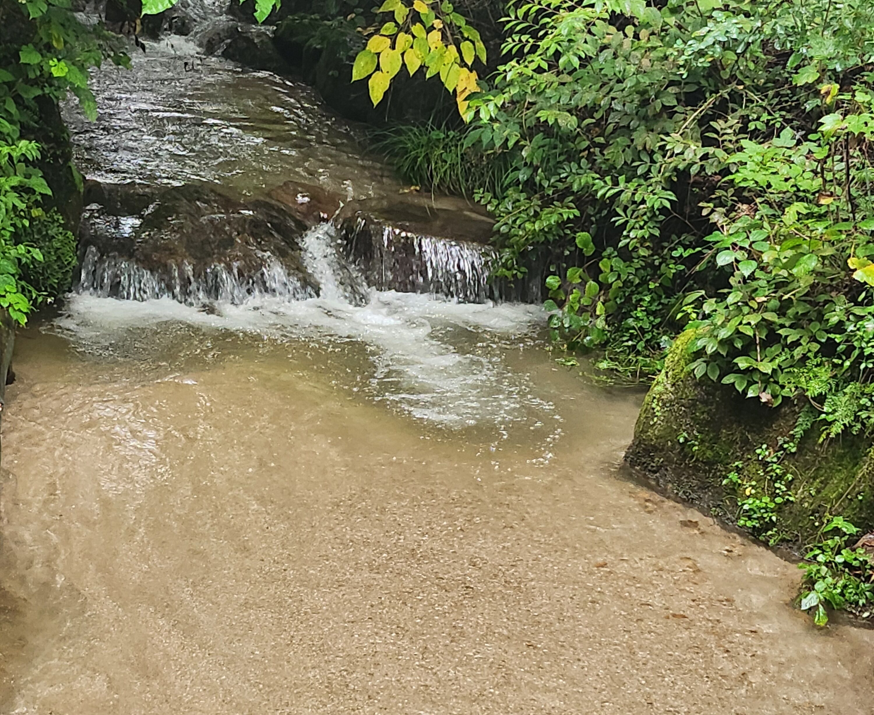 Uma formação natural com água, incluindo uma pequena cascata, rodeada por vegetação densa.
