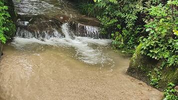 Uma formação natural com água, incluindo uma pequena cascata, rodeada por vegetação densa.
