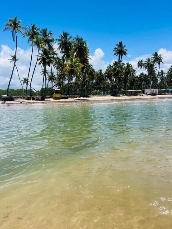 Uma praia com águas cristalinas, palmeiras e areia dourada.