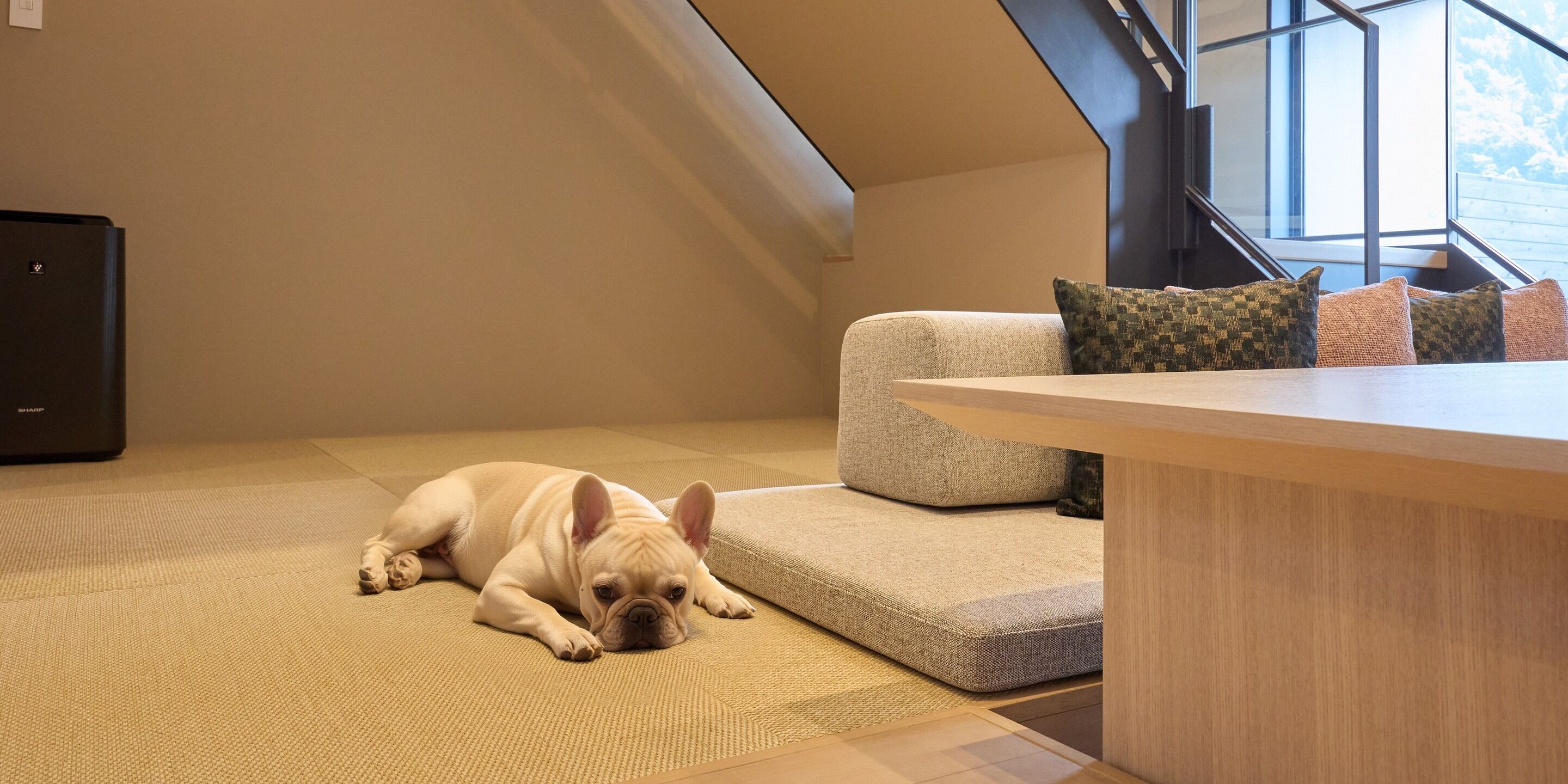 Um cão deitado sobre um tapete texturizado em um quarto com um sofá e uma mesa de madeira.