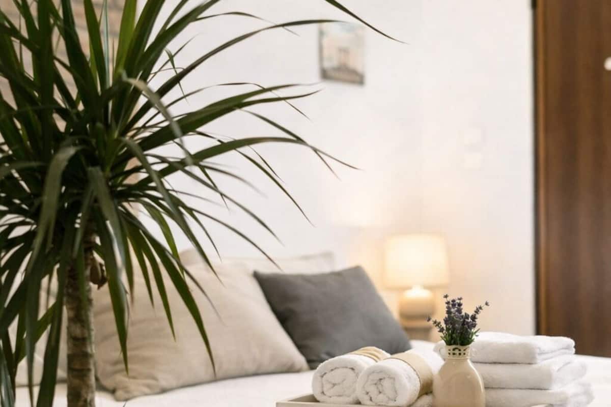 Cama bem arrumada com toalhas dobradas, uma pequena planta em vaso e um cesto com toalhas e um vaso.