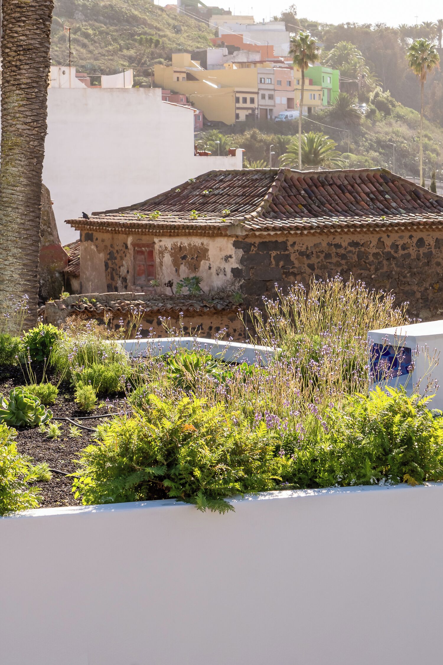 Um edifício com telhado de azulejos, rodeado por vegetação e uma parede branca.