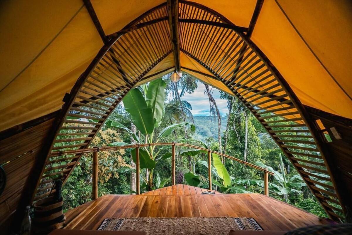 Um deck de madeira com vista para vegetação exuberante e uma estrutura de bambu.