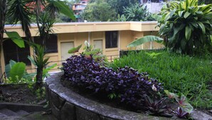 Um edifício com fachada amarela, rodeado por vegetação exuberante e um vaso de pedra com folhagem roxa.