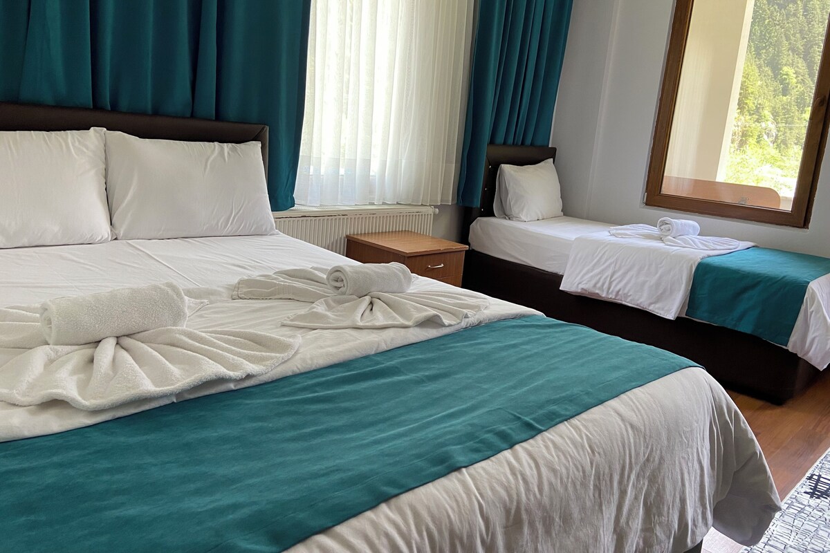 Quarto de hotel com uma cama grande, uma cama menor e uma janela com vista para vegetação.