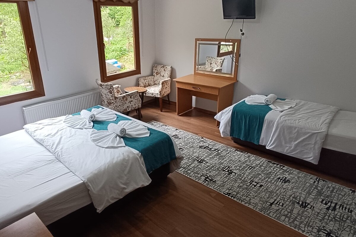 Quarto com duas camas, uma escrivaninha, uma cadeira, televisão e vista para o verde lá fora.