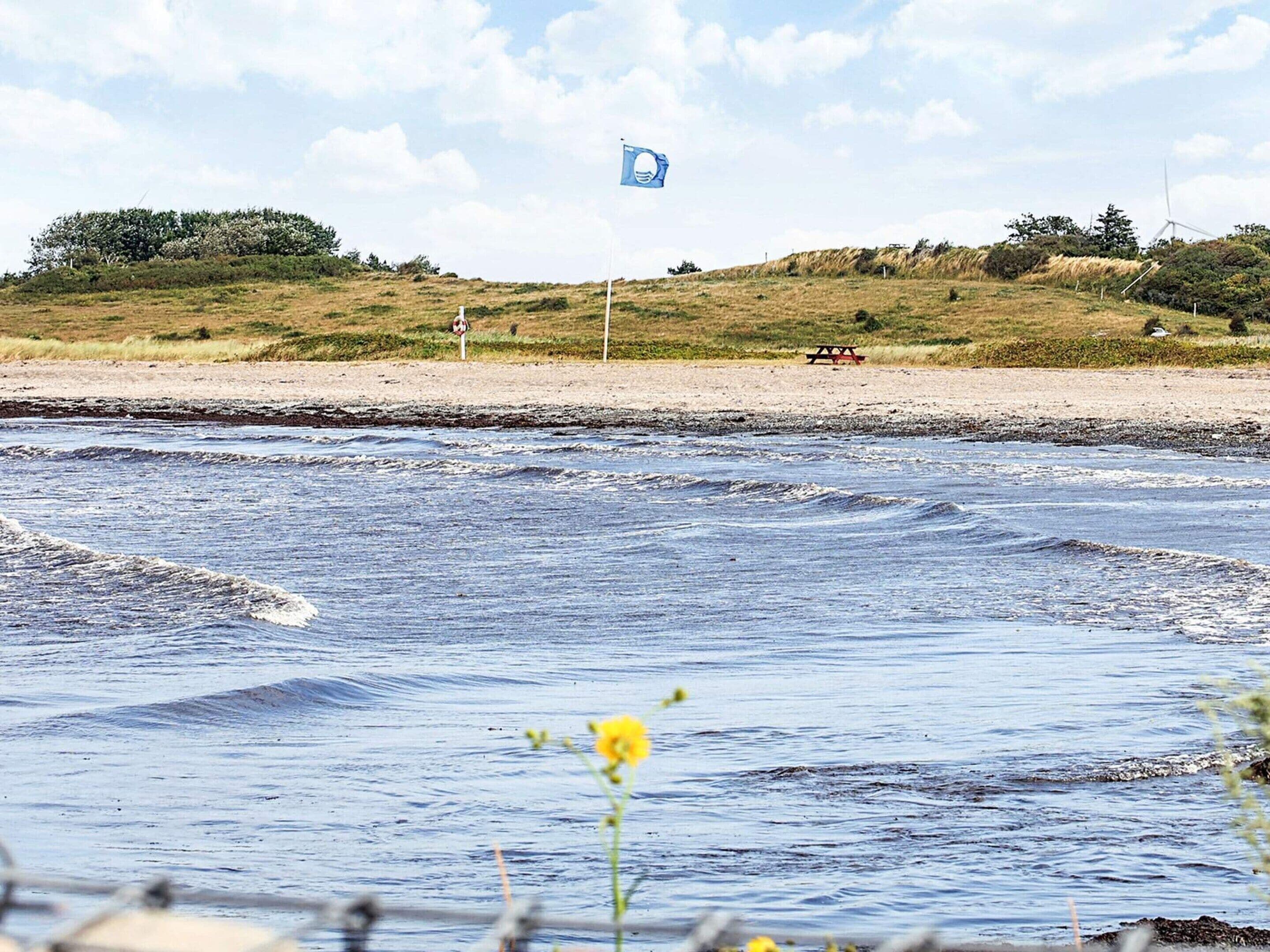 Paisagem costeira com uma praia de areia, uma mesa de piquenique e uma turbina eólica ao longe.