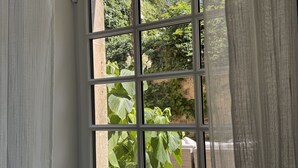 Uma janela com padrão quadriculado, uma porta branca e vista para vegetação e um edifício.