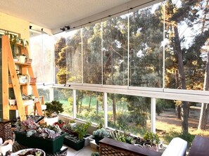 Um solário com vista para uma floresta, prateleiras de madeira com plantas e uma escada.