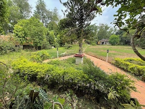 Um jardim com caminho de pedra, diversas plantas e um edifício ao fundo.
