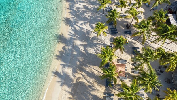 Vista aérea de uma praia com águas turquesa cristalinas, fileiras de palmeiras e espreguiçadeiras alinhadas.
