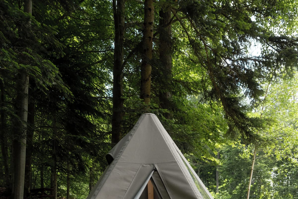 Uma tenda triangular com uma cama no interior, rodeada por uma floresta.