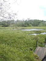 Lago