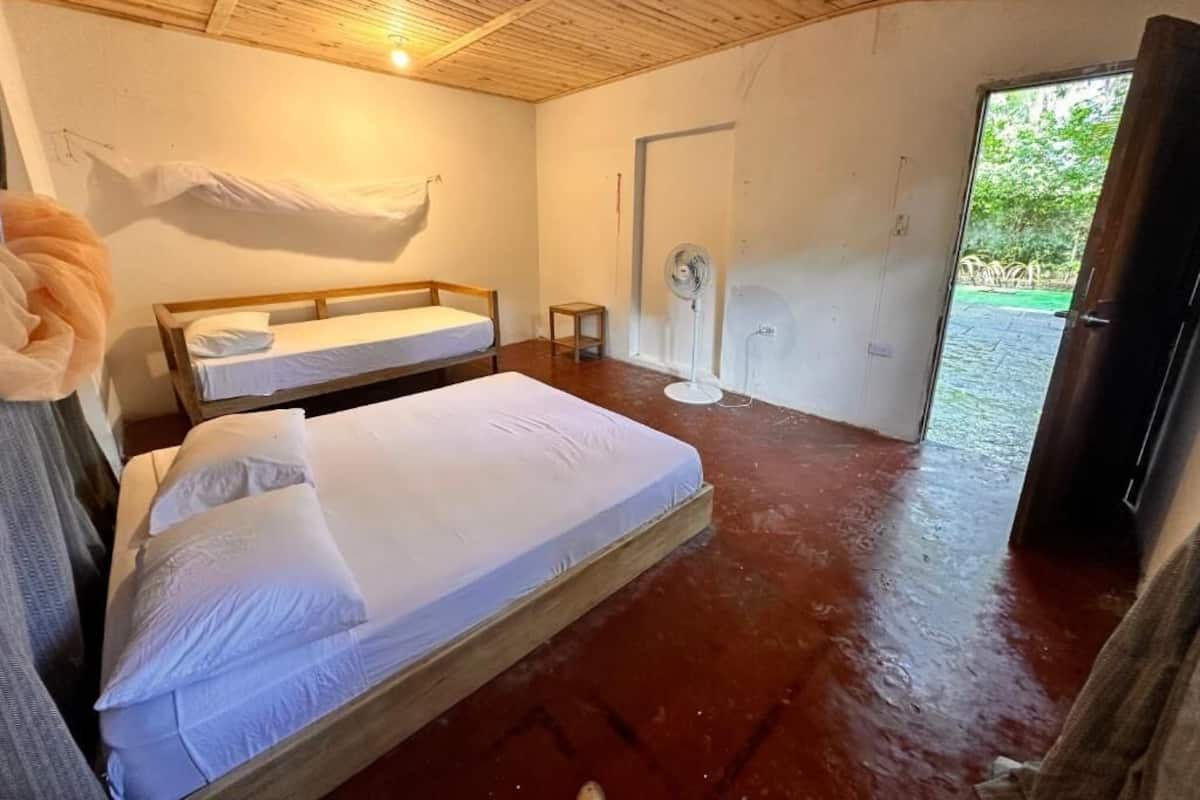 Quarto triplo básico, vista para o jardim | Wi-Fi de cortesia