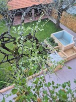 Uma área de jardim com uma árvore, um banco e um muro.
