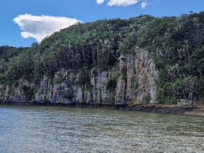 Paisagem costeira com falésia rochosa e vegetação densa.