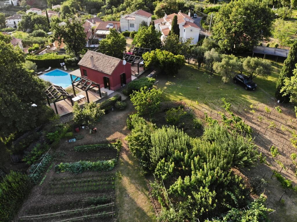 Vista aérea de uma área residencial com casas, piscina e vinhedo.